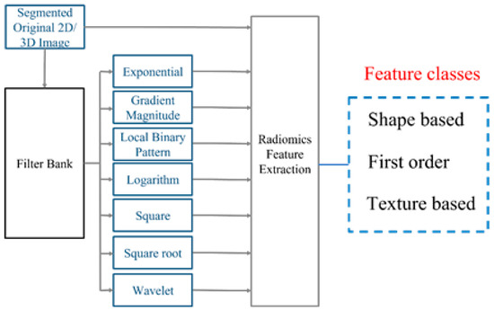 Bioengineering | Free Full-Text | Evaluating the Effectiveness of 2D ...