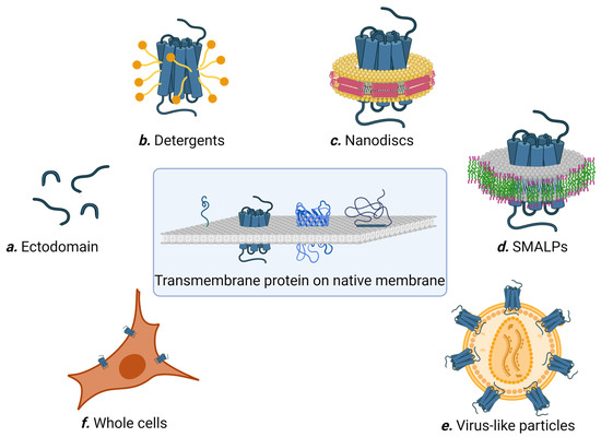 Methods for Engineering Binders to Multi-Pass Membrane Proteins