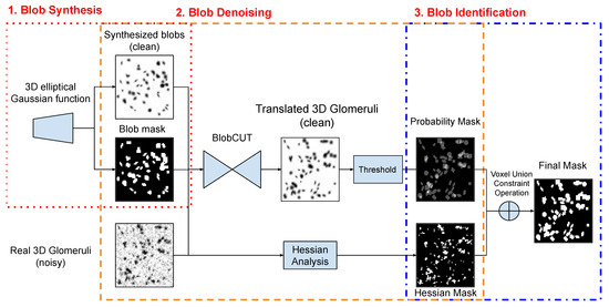 BlobCUT: A Contrastive Learning Method to Support Small Blob Detection ...