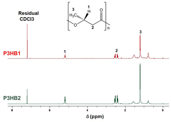 Characterization of Poly(3-hydroxybutyrate) (P3HB) from Alternative, Scalable (Waste) Feedstocks
