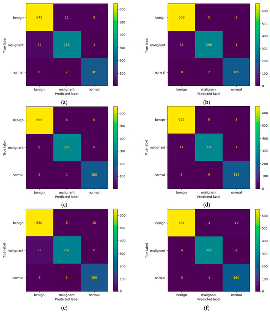 Bioengineering | Free Full-Text | Multi-Instance Classification of Breast Tumor Ultrasound ...