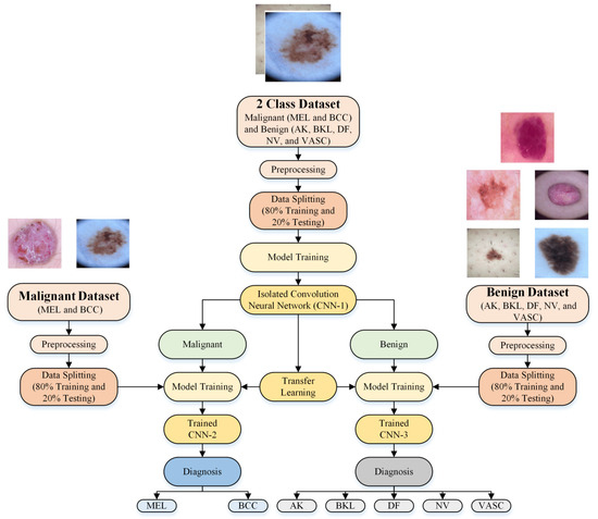 Enhancing Skin Lesion Detection: A Multistage Multiclass Convolutional ...