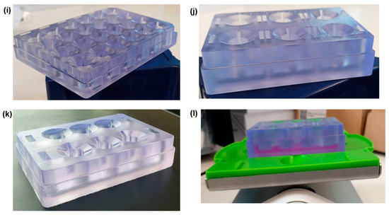 Development of a Highly Differentiated Human Primary Proximal Tubule ...