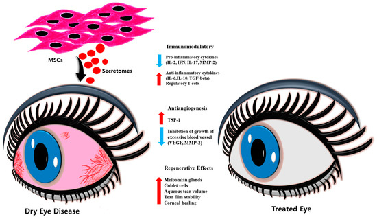 Current Advances in Regenerative Strategies for Dry Eye Diseases: A ...