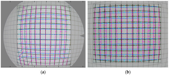 The Evolution of Spinal Endoscopy: Design and Image Analysis of a ...