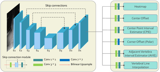 Bioengineering | Free Full-Text | A Dual Coordinate System Vertebra ...