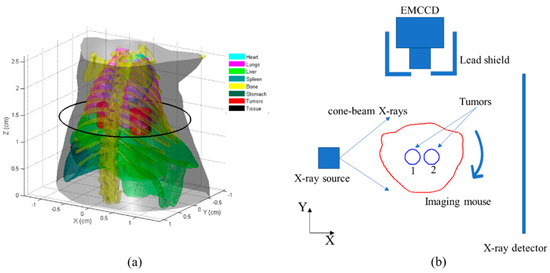 Automated Restarting Fast Proximal Gradient Descent Method for Single-View Cone-Beam X-ray ...