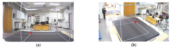 Evaluation of 3D Markerless Motion Capture System Accuracy during Skate ...