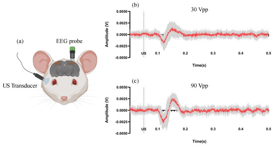 Ultrasound Flow Imaging Study on Rat Brain with Ultrasound and Light ...