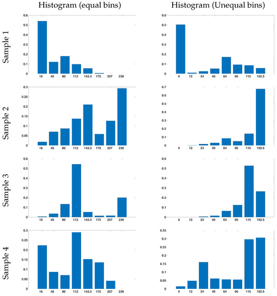 Feature Extraction Based on Local Histogram with Unequal Bins and a ...