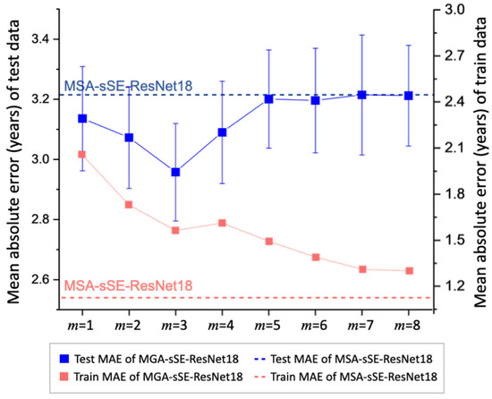 Brain Age Prediction Using Multi-Hop Graph Attention Combined with Convolutional Neural Network