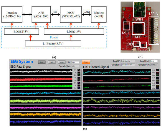 Active Claw-Shaped Dry Electrodes for EEG Measurement in Hair Areas