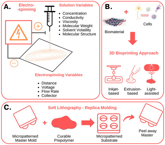 Unlocking the Potential of Stem Cell Microenvironments In Vitro