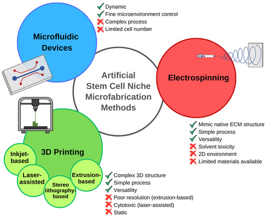 Unlocking the Potential of Stem Cell Microenvironments In Vitro