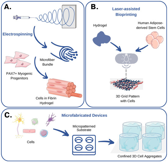 Unlocking the Potential of Stem Cell Microenvironments In Vitro