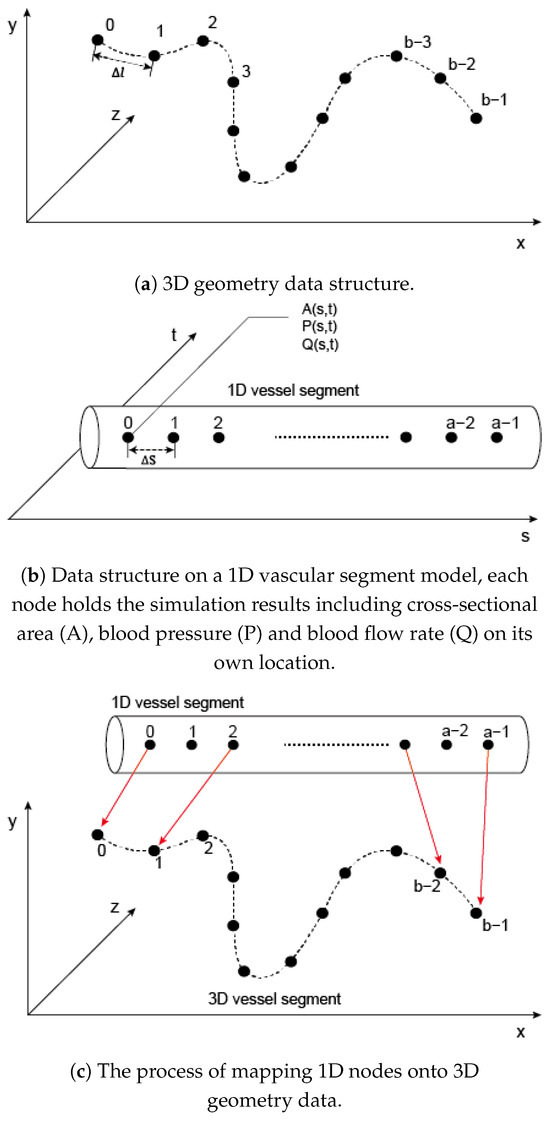 Development of a 3D Vascular Network Visualization Platform for One ...