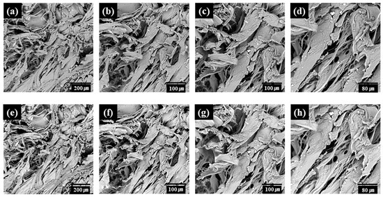 Improvement in Biocompatibility and Biointegration of Human Acellular ...