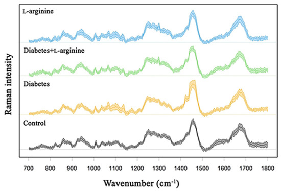 Short-Term l-arginine Treatment Mitigates Early Damage of Dermal ...