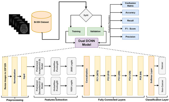 Bioengineering | Free Full-Text | Cancerous and Non-Cancerous MRI ...