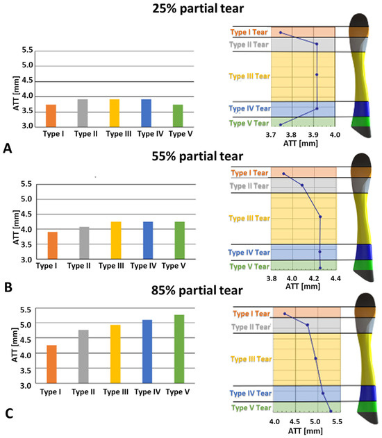 Bioengineering | Free Full-Text | Predictive Refined Computational ...