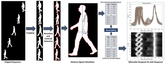 Gait Impairment Analysis Using Silhouette Sinogram Signals and Assisted Knowledge Learning