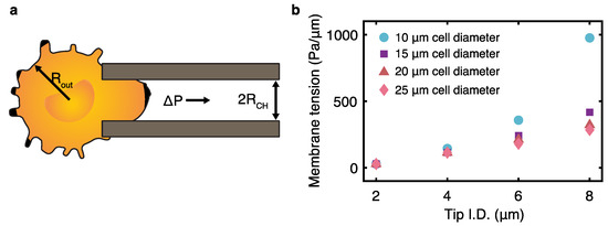 A Capillary-Force-Driven, Single-Cell Transfer Method for Studying Rare ...