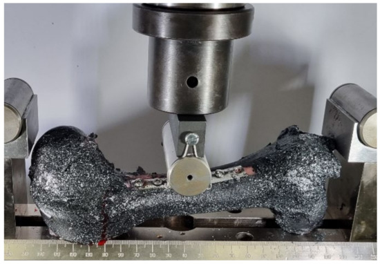 Ex Vivo Biomechanical Bone Testing of Pig Femur as an Experimental Model