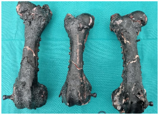 Ex Vivo Biomechanical Bone Testing of Pig Femur as an Experimental Model