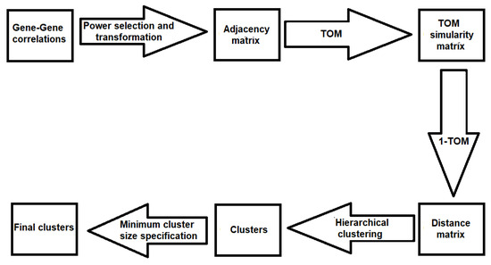 Bioengineering | Free Full-Text | Meta-Analytic Gene-Clustering Algorithm for Integrating Multi ...