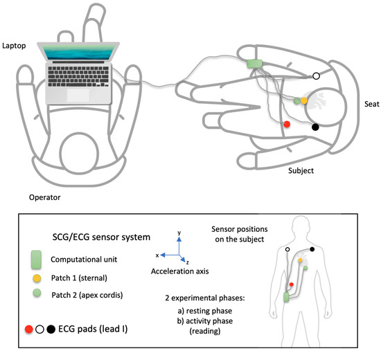 Automated Heart Rate Detection in Seismocardiograms Using ...