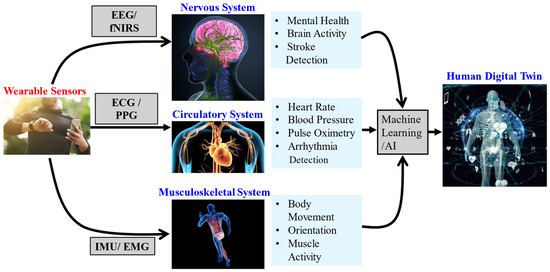 Bioengineering | Free Full-Text | Digital Twins for Healthcare Using ...