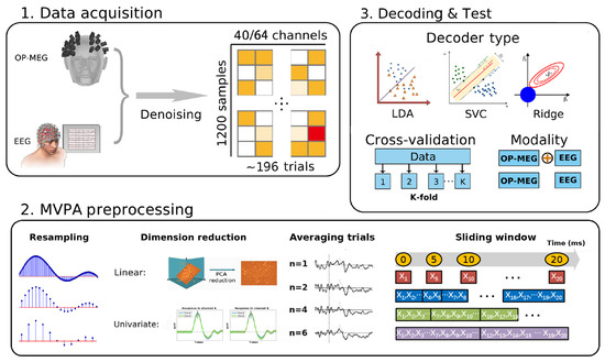 Decoding N400m Evoked Component: A Tutorial on Multivariate Pattern ...