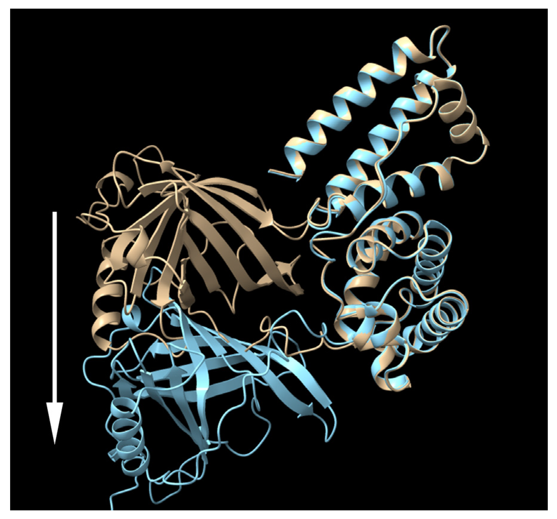 Optimizing the Amino Acid Sequence Enhances the Productivity and ...
