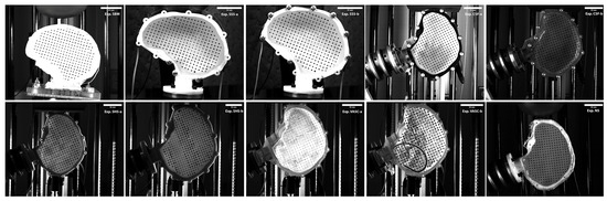 Anatomical Features and Material Properties of Human Surrogate Head ...
