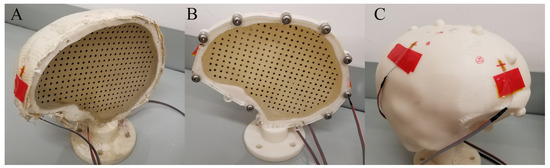 Bioengineering | Free Full-Text | Anatomical Features and Material ...