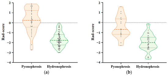Identification of Calculous Pyonephrosis by CT-Based Radiomics and Deep ...