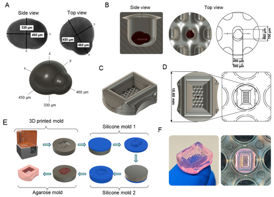Three-Dimensionally Printed Agarose Micromold Supports Scaffold-Free ...