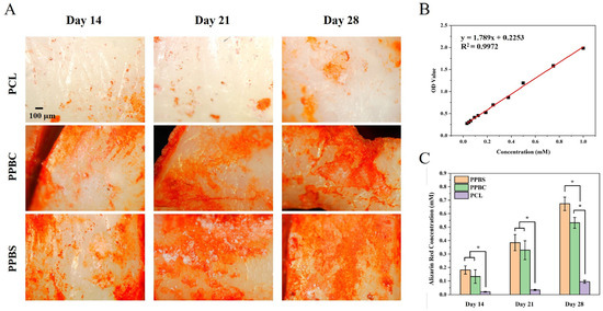 Fabrication and Evaluation of PCL/PLGA/β-TCP Spiral-Structured Scaffolds for Bone Tissue Engineering