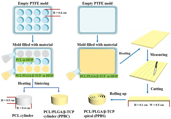 Fabrication and Evaluation of PCL/PLGA/β-TCP Spiral-Structured ...