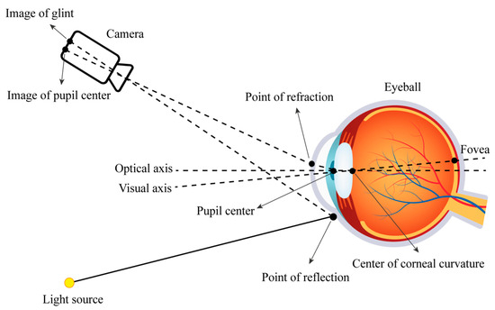 Wearable Near-Eye Tracking Technologies for Health: A Review