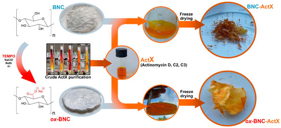Modulating the Release Kinetics of Natural Product Actinomycin from ...