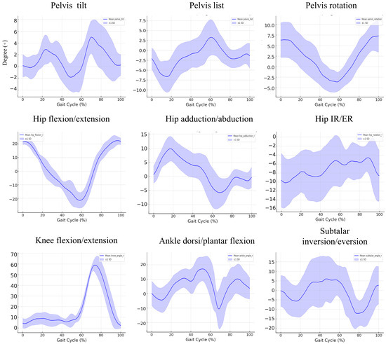 Biomechanical Gait Analysis Using a Smartphone-Based Motion Capture ...