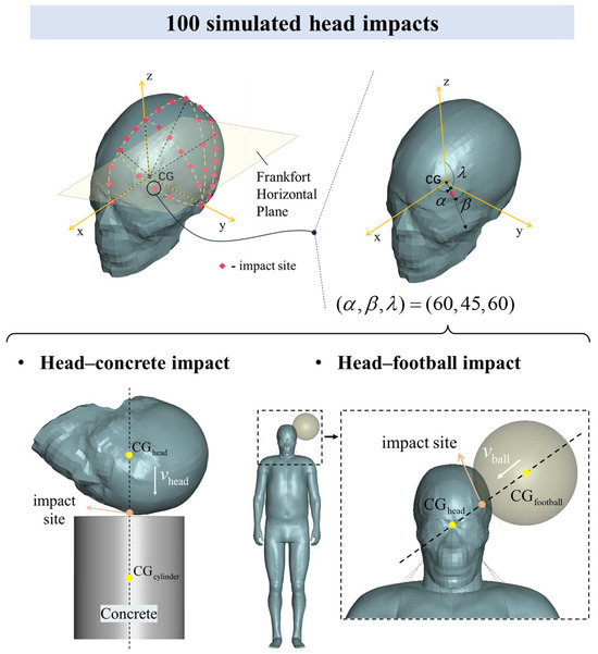 An Objective Injury Threshold for the Maximum Principal Strain ...
