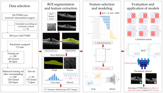 Machine Learning and Optical-Coherence-Tomography-Derived Radiomics ...