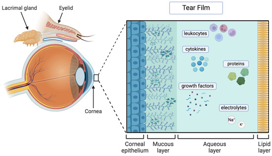 Managing Ocular Surface Disease in Glaucoma Treatment: A Systematic Review