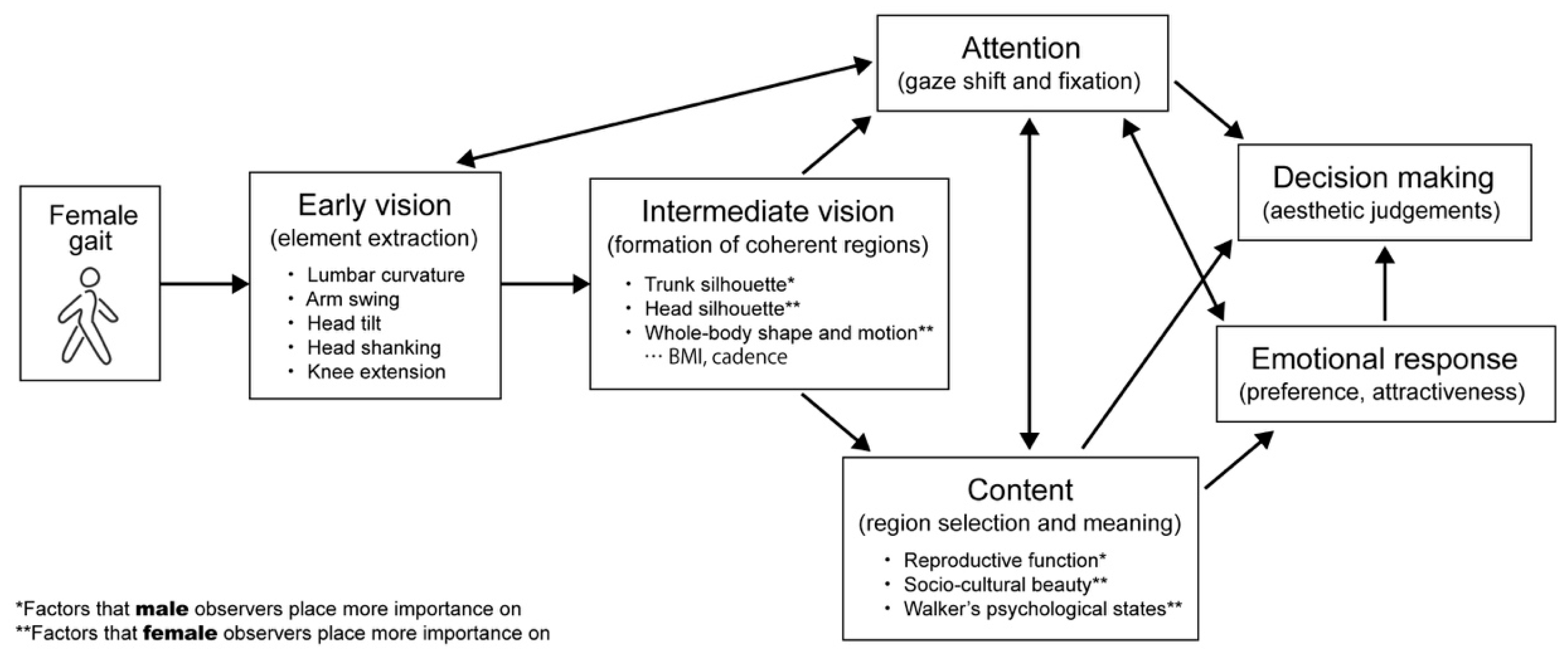 The Psychological Nature of Female Gait Attractiveness