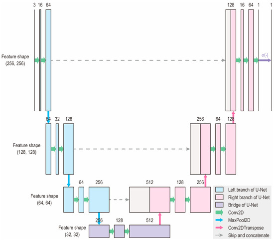 Deep Learning in Spinal Endoscopy: U-Net Models for Neural Tissue Detection