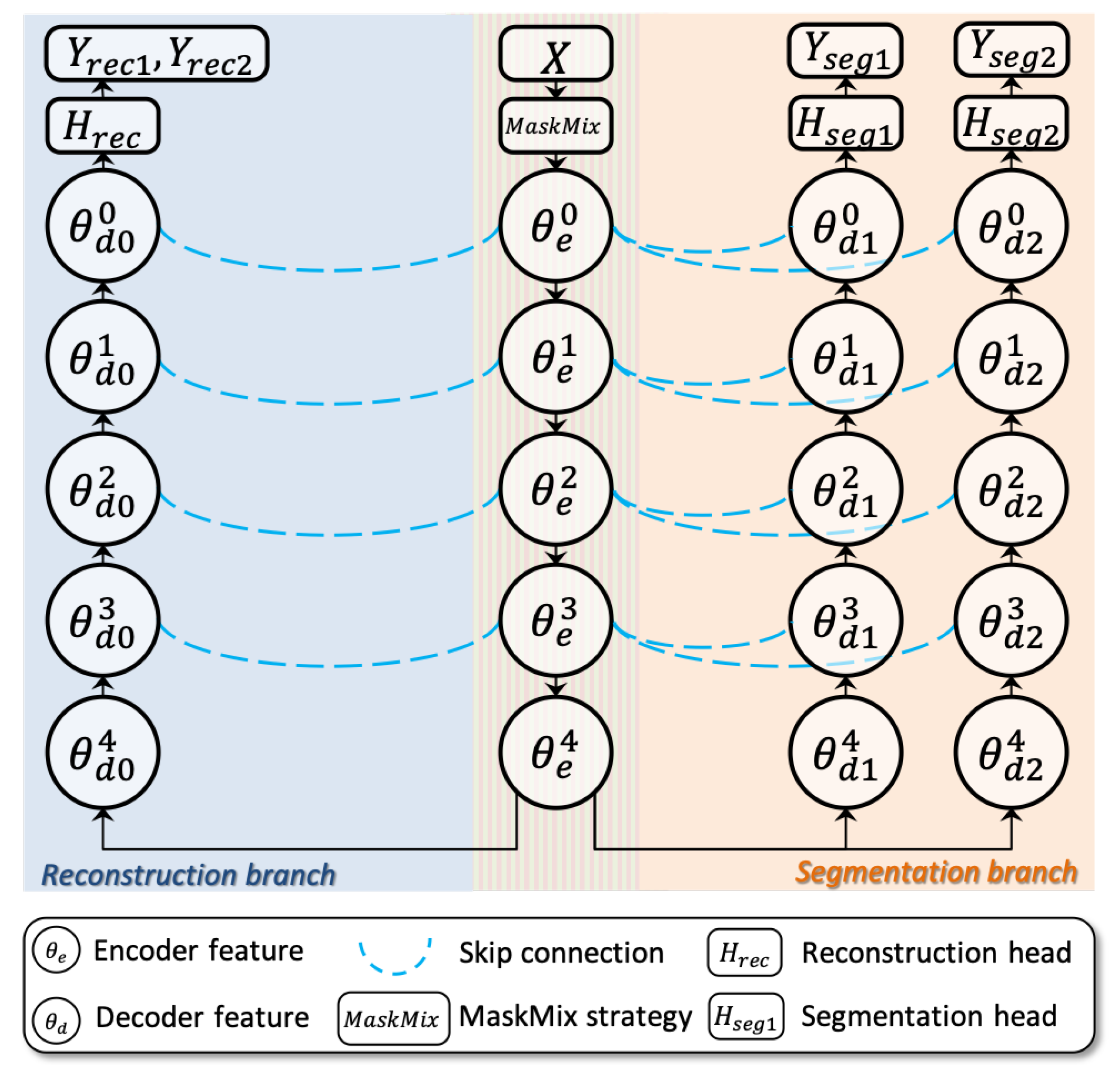 Shape-Aware Adversarial Learning for Scribble-Supervised Medical Image Segmentation with a ...