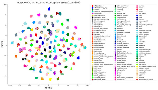 Classification of Dog Breeds Using Convolutional Neural Network Models and Support Vector Machine