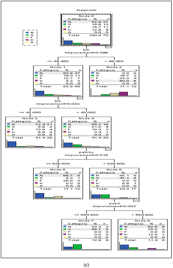 Advances in Corneal Diagnostics Using Machine Learning
